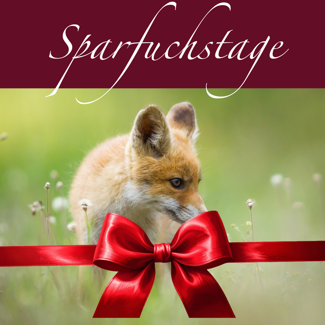 Sparfuchstage - Onlineshop – Ringhotel Zum Stein in Wörlitz